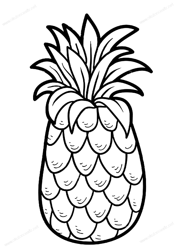 Ananas Boyama Sayfas Ananas Boyama Sayfas